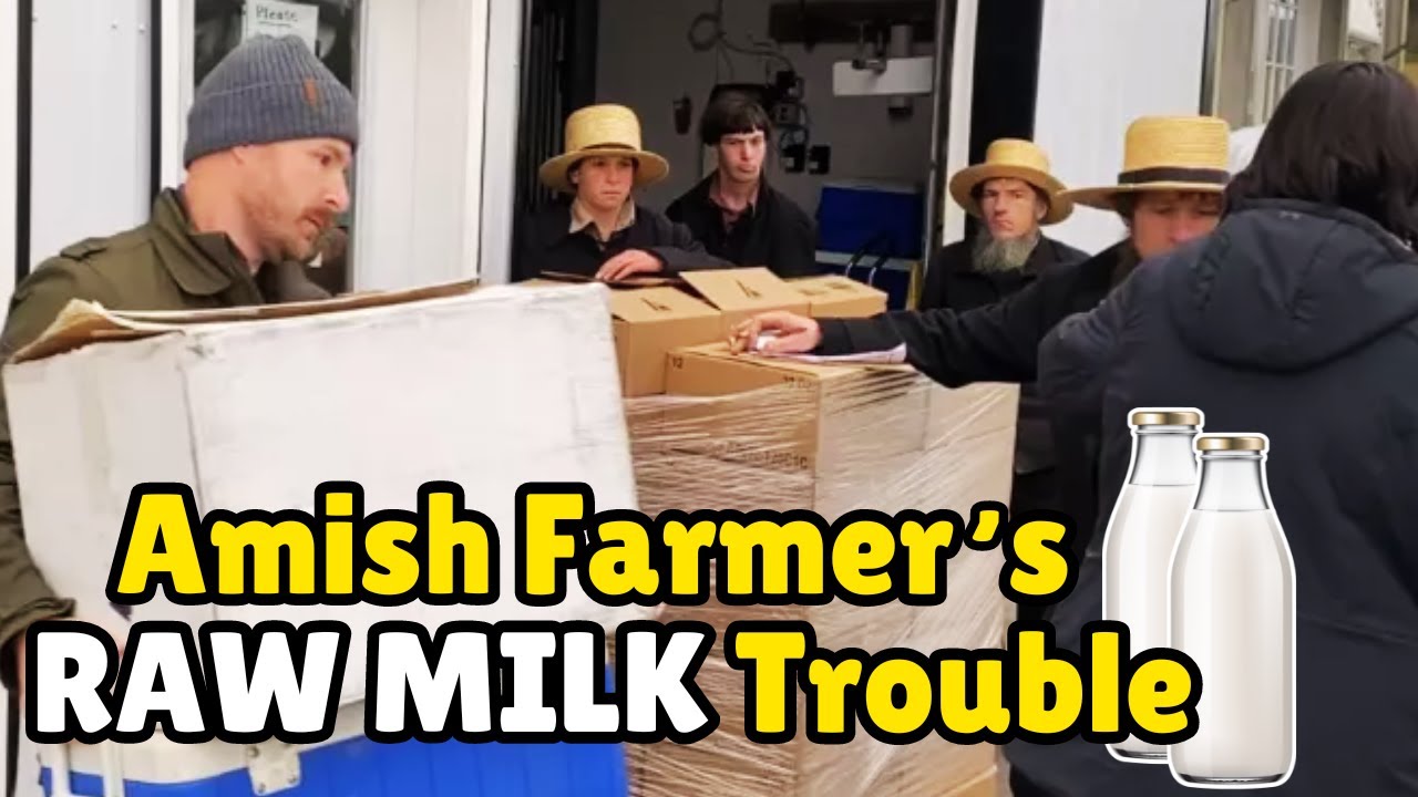 Amos Miller Raw Milk Case | Why doesn't he just get a permit? - YouTube