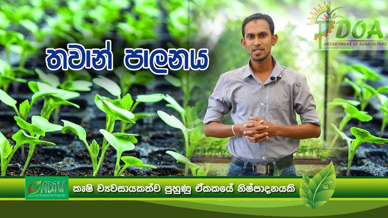 තවාන් පාලනය Youtube