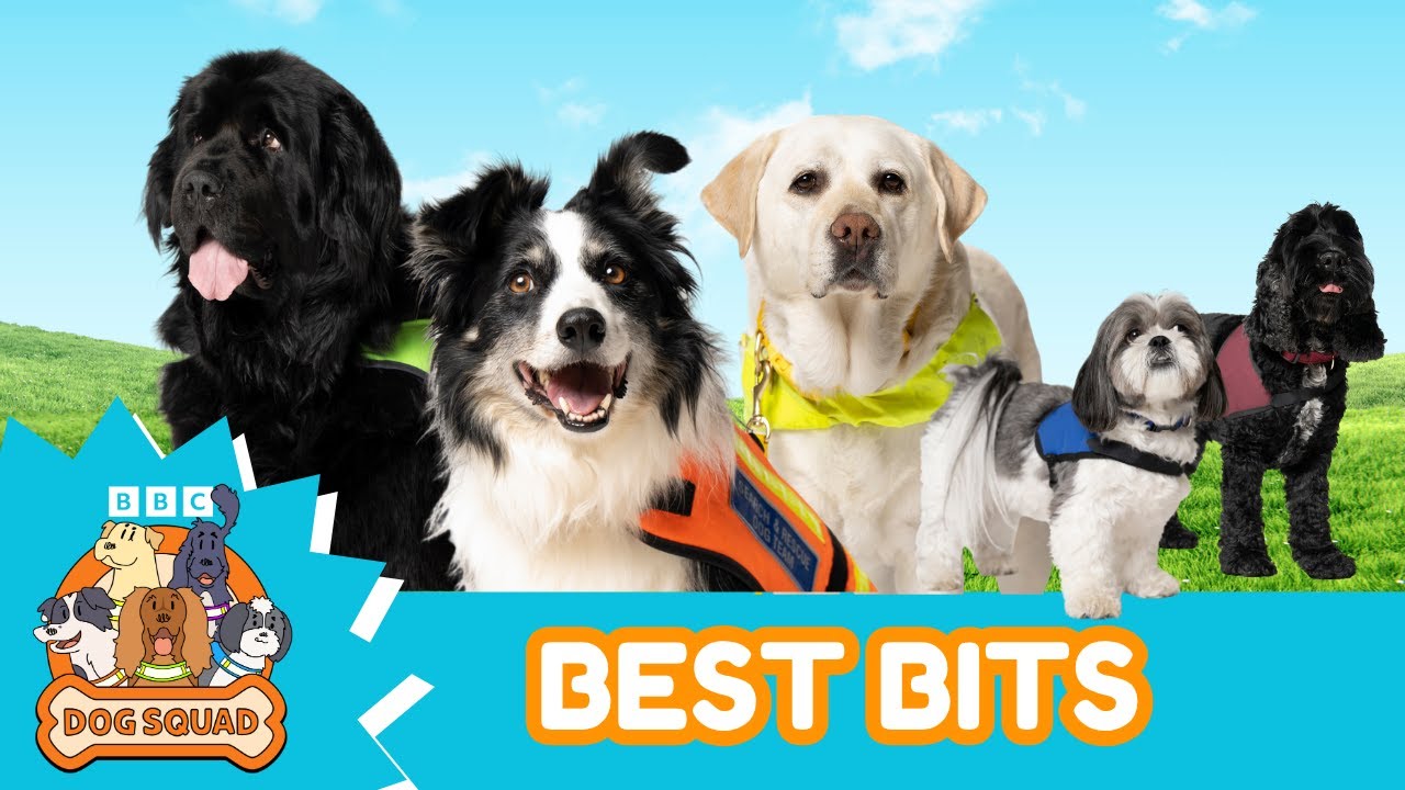 Dog Squad Series 1 | Best Moments | Dog Squad | CBeebies - YouTube