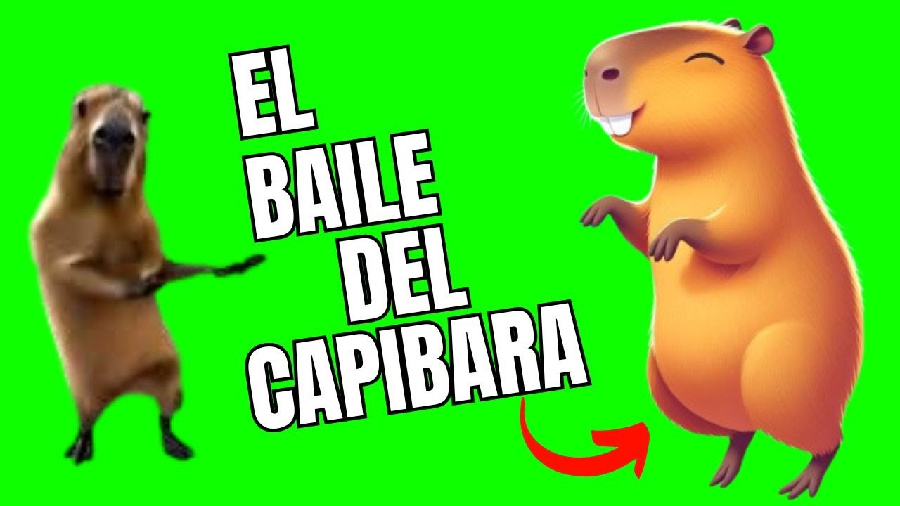 EL BAILE DE CAPIBARA - Barsi & Dasha - Canciones infantiles - YouTube