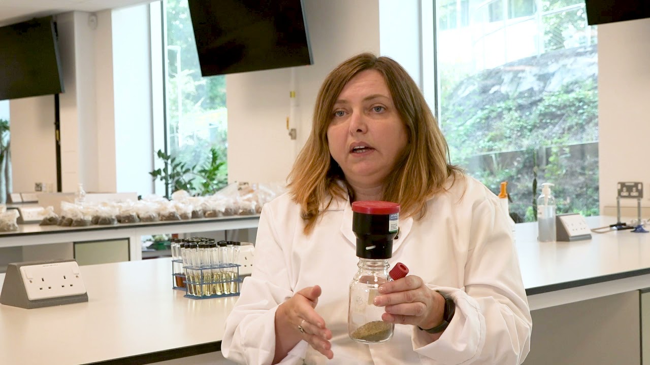 Sharon Huws alliance graded - YouTube