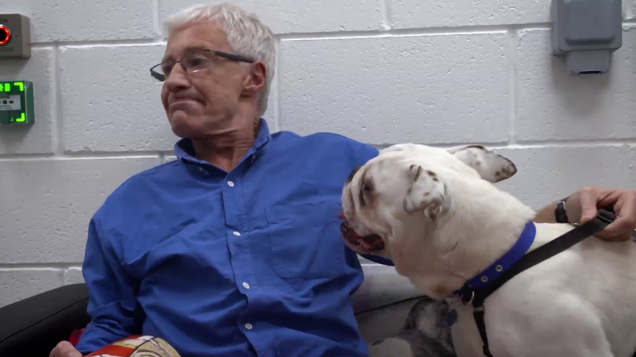 Paul O'Grady: For the Love of Dogs | Episode 3 | Clip - YouTube