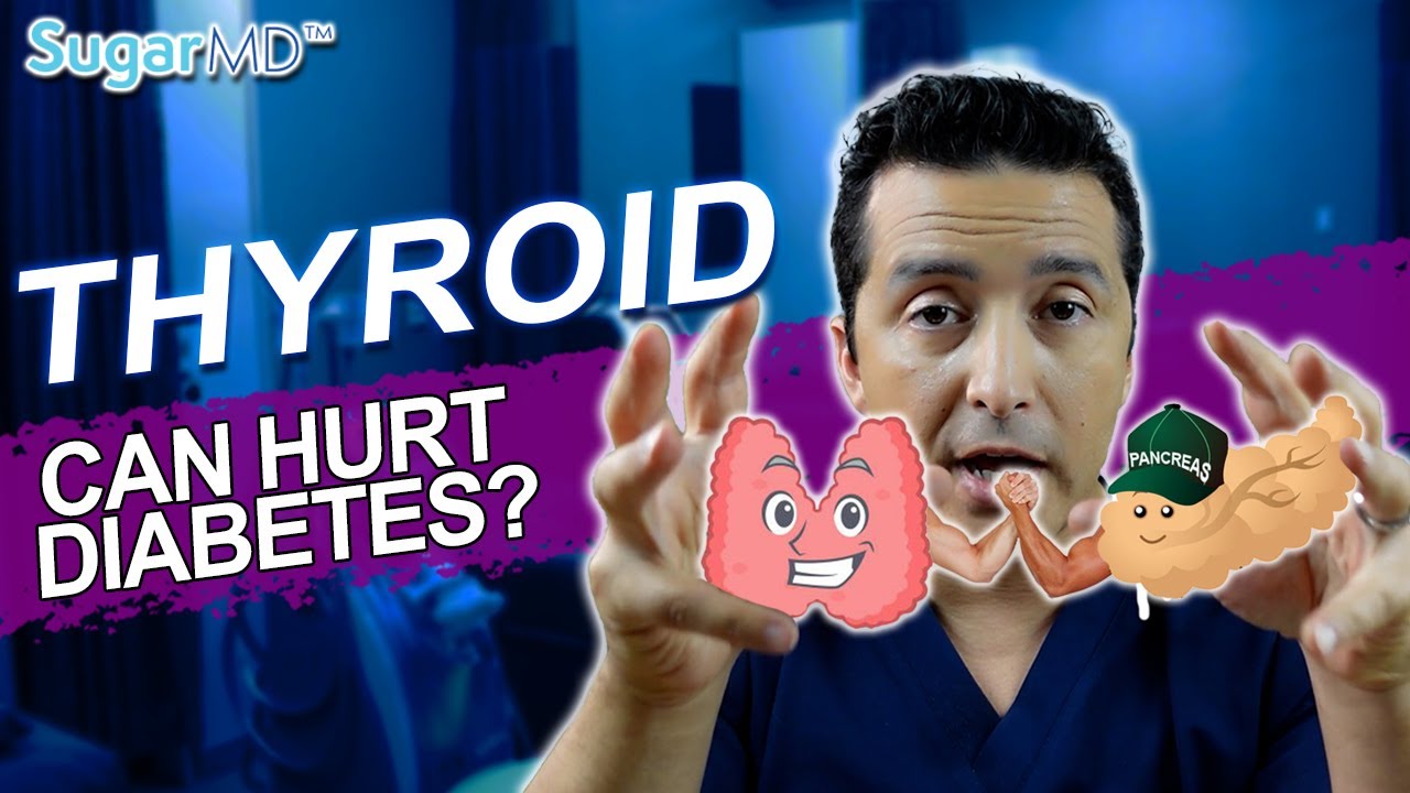 Thyroid VS Diabetes What s The Relationship YouTube Thyroid VS Diabetes What s The Relationship YouTube