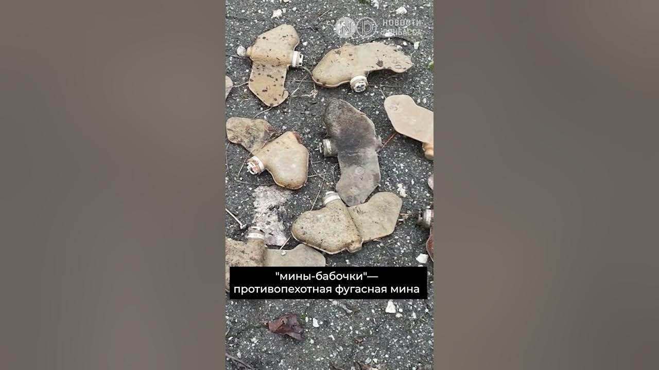 Мины-невидимки: оккупанты по-новому маскируют “Лепестки” #мины # ...