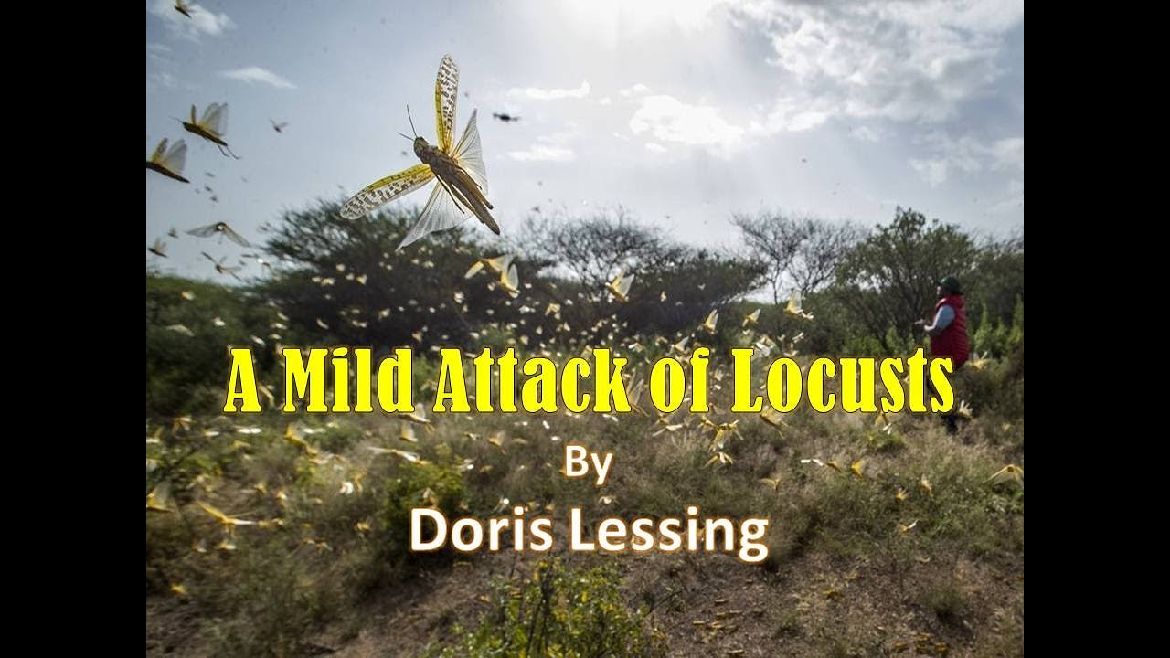 A MILD ATTACK OF LOCUSTS By DORIS LESSING | PART 2 - YouTube