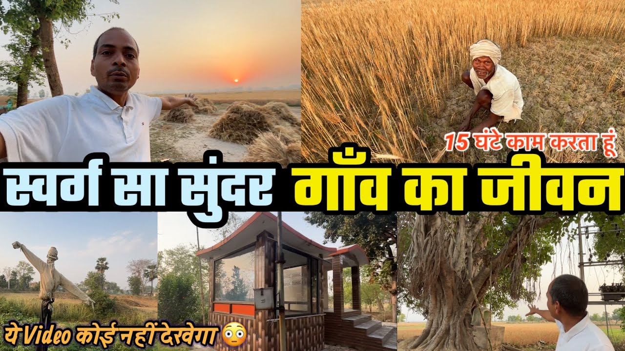 पहली बार ऐसा गांव देखा | Village Life of Bihar | Aurangabad village ...