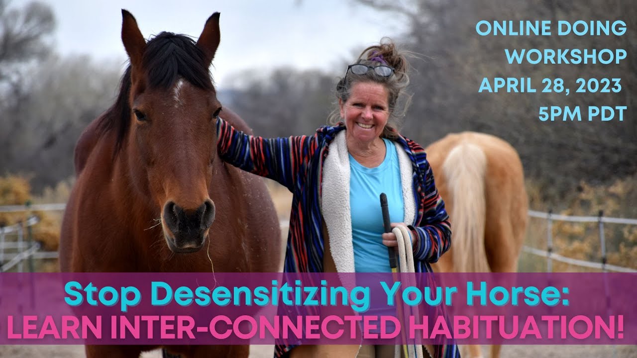 Stop Desensitizing Your Horse - Learn Inter Connected Habituation ...