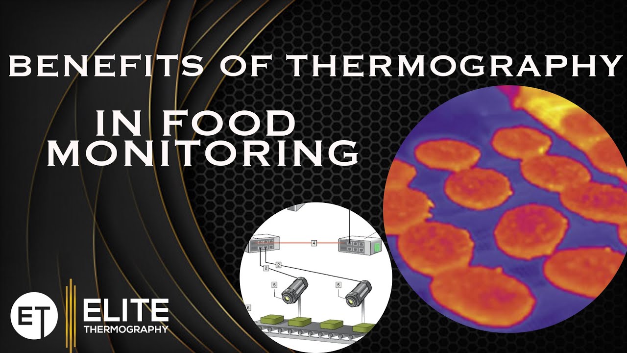 Benefits of Thermography in Food Monitoring - YouTube