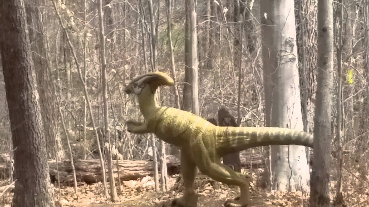 TiYogi traditional archery 3d shoot dinosaur hunt - YouTube