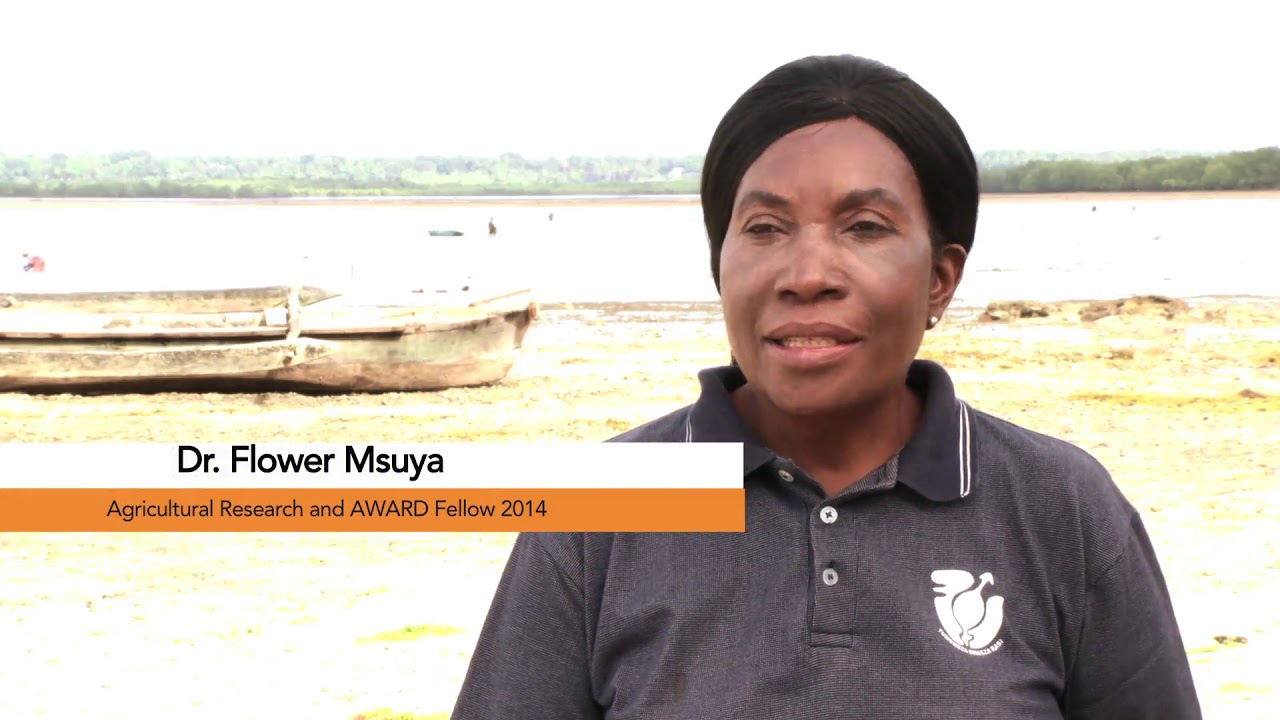 AgSpirations: Dr. Flower Msuya (Seaweed) - YouTube