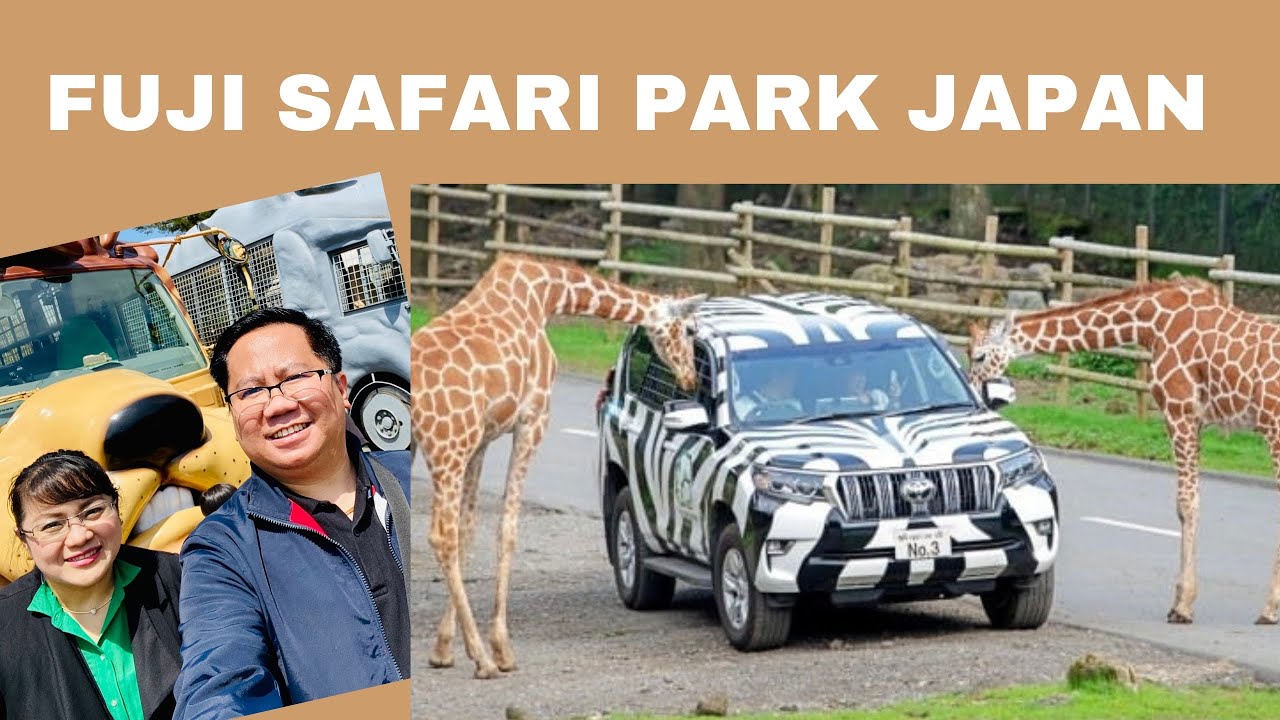 Fuji Safari Park Japan| Japan Trip - YouTube