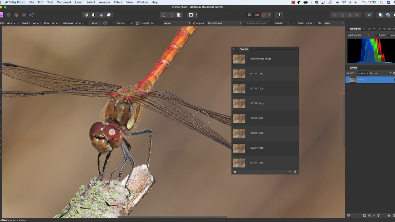 Focus Merging for Maximum Sharpness with Affinity Photo - YouTube