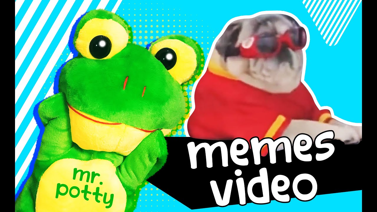 funny videos | memes | mr.potty - YouTube