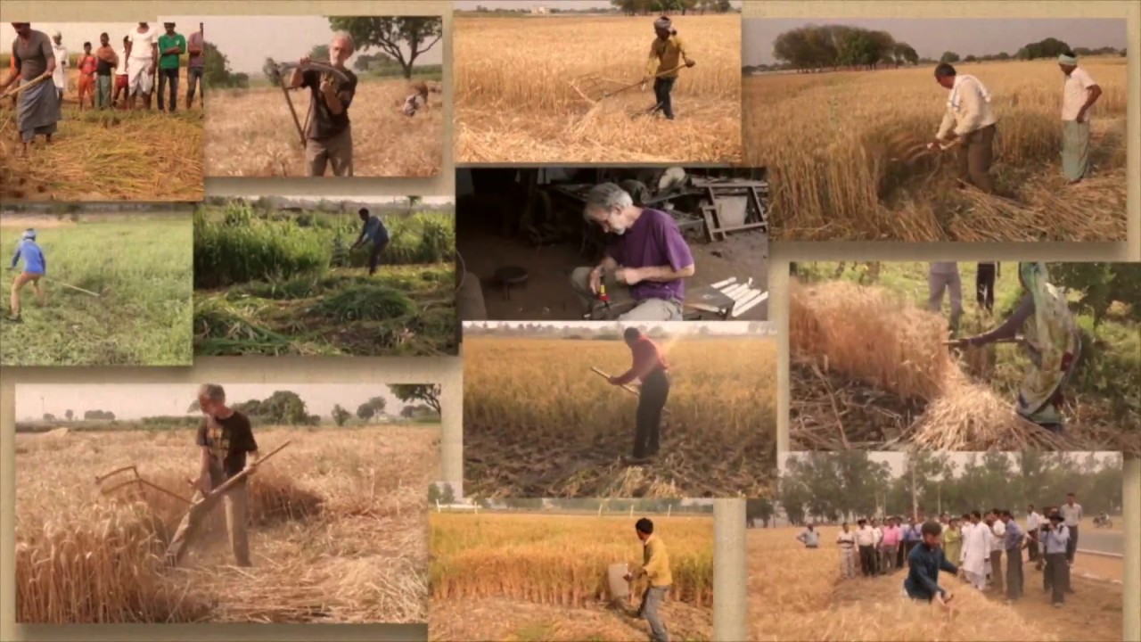 What is a Scythe? | A Revolution in Crop Harvesting! - YouTube