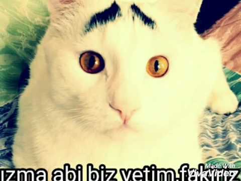 Komik hayvan caps'leri