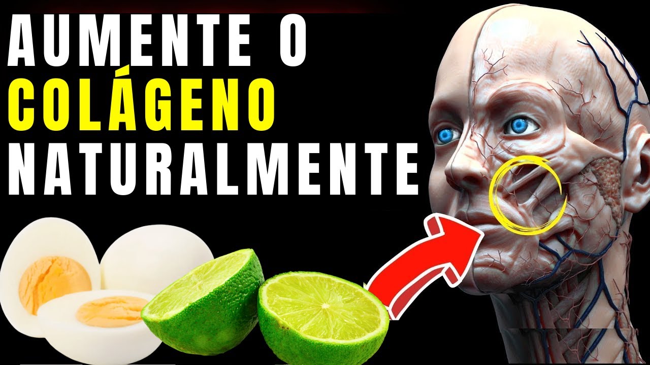 COLÁGENO: O QUE É E PORQUE VOCÊ DEVE INCLUIR NA SUA DIETA URGENTE ...