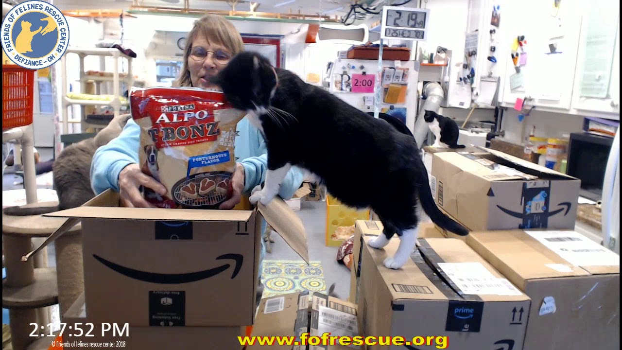 FFRC Boxes and Updates 03-25-2020 - YouTube