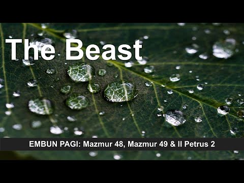 Embun Pagi: Mazmur 48, Mazmur 49 & II Petrus 2 - The Beast - YouTube