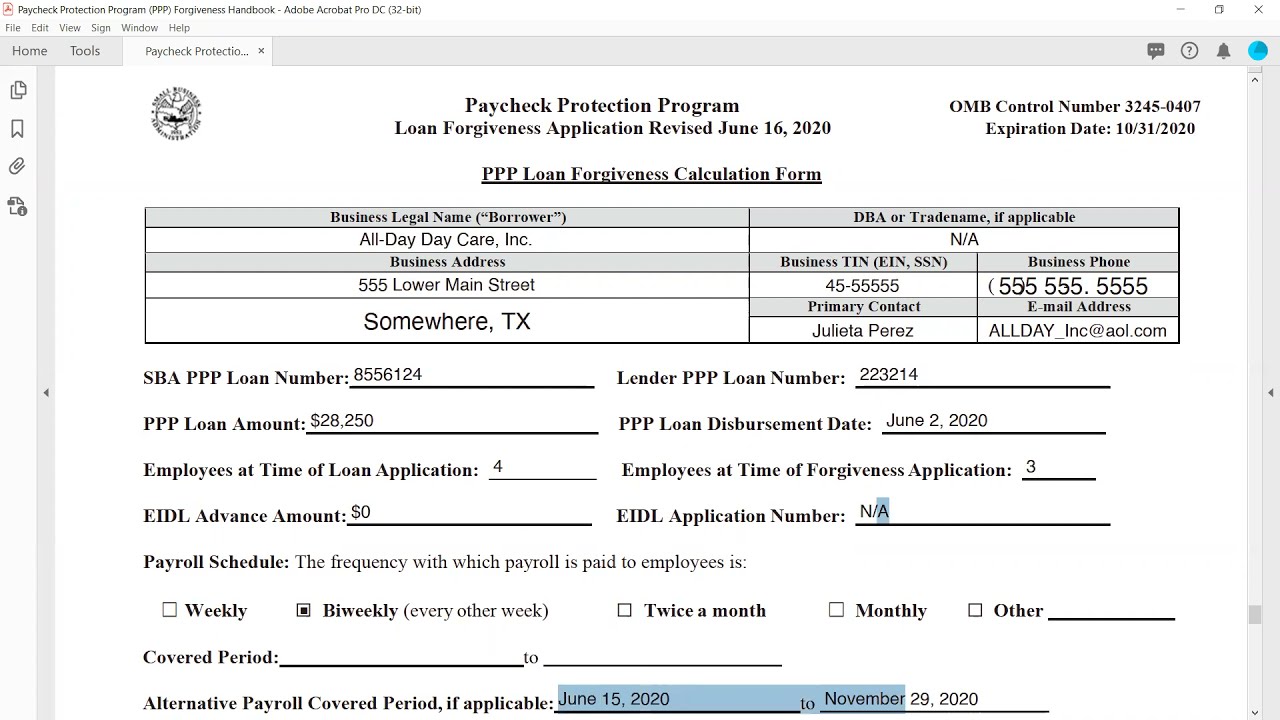 Paycheck Protection Program Forgiveness: IRS Form 3508 - YouTube