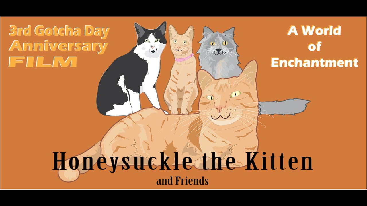 Honeysuckle the Kitten's Third Gotcha Day Anniversary - YouTube