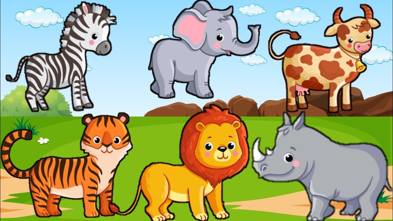 belajar tentang hewan || zebra, gajah, sapi, harimau, singa, badak ...