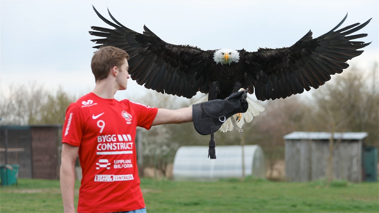 STORVRETA RELEASE || BEHIND THE SCENES w/ FILIP LANGER & ADAM TROY ...