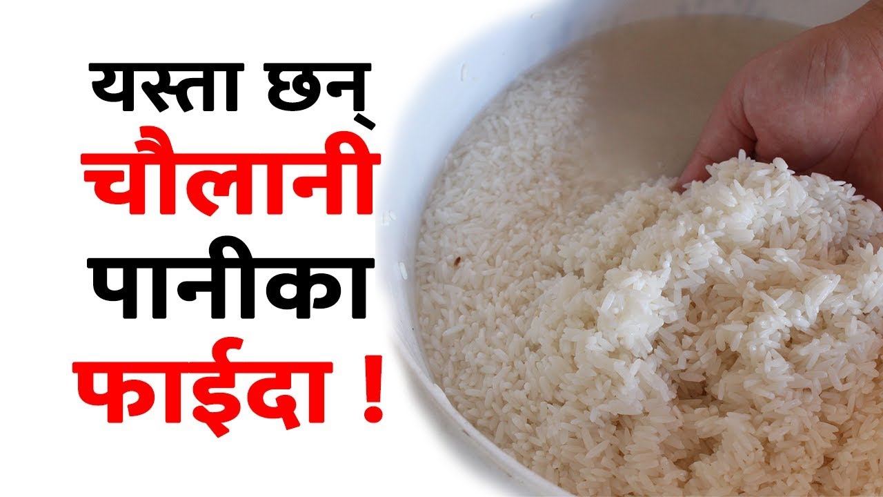 यस्ता छन् चामल पखालेर फाल्ने चौलानी पानीका फाईदै फाईदा ! (Chaulani Pani ...