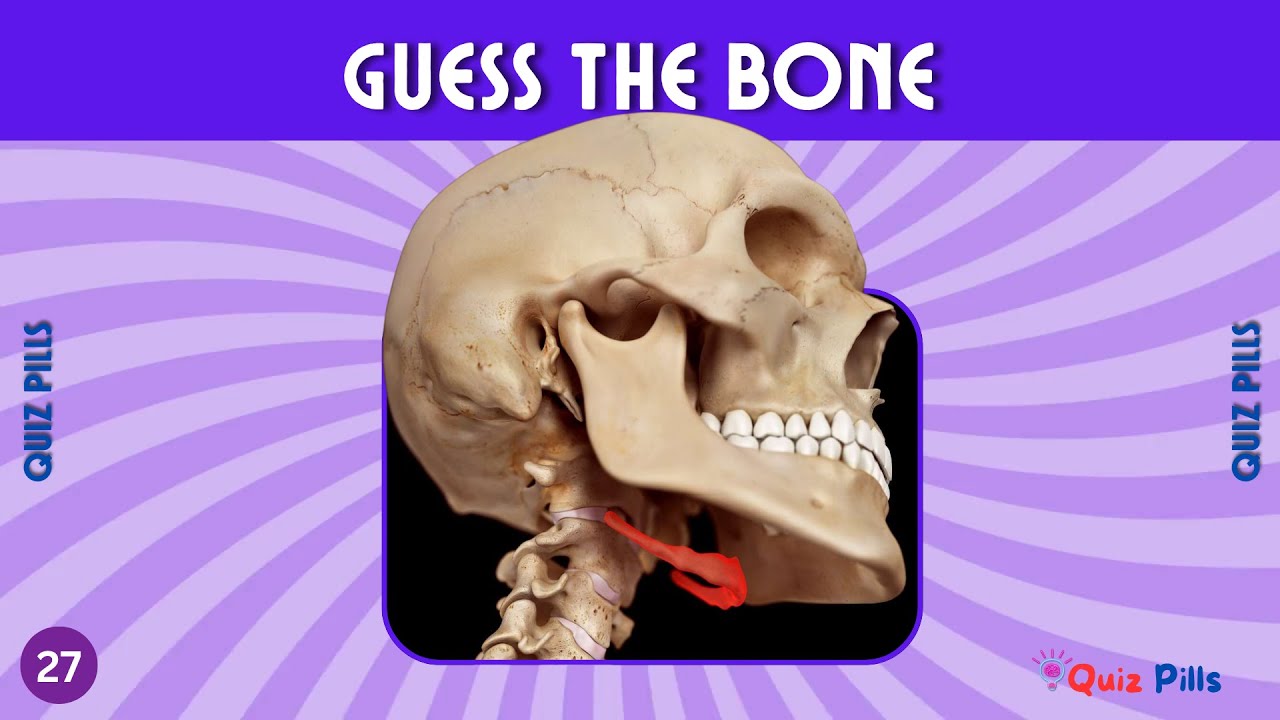 Guess The Bone Human Body Quiz Challenge #quiz #quizchannels - YouTube