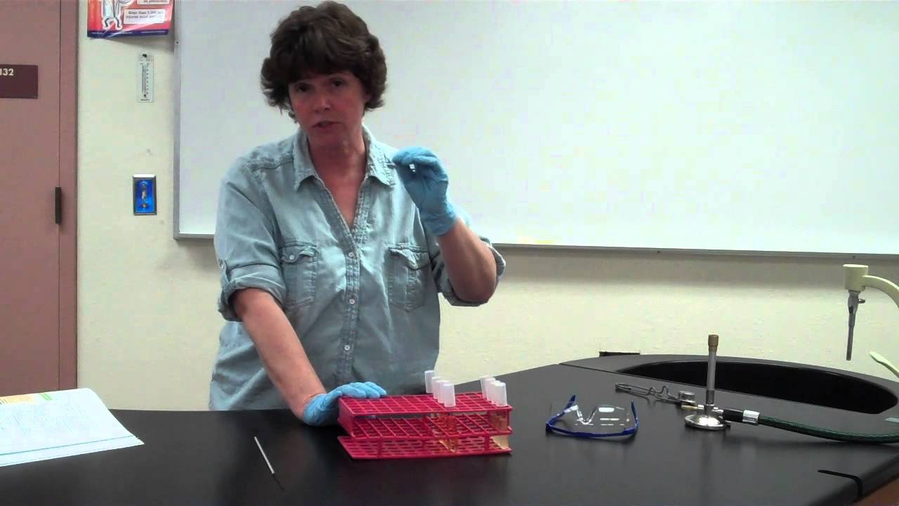Urease Test - YouTube