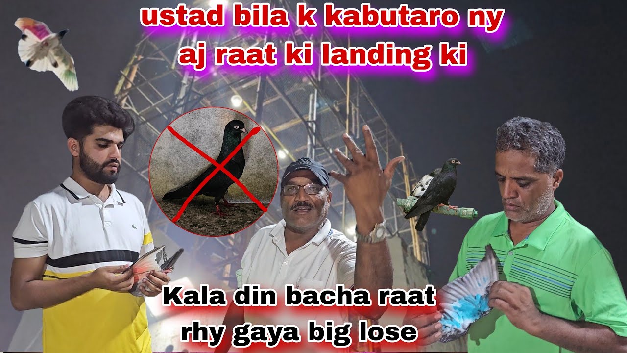 Kala Jin bacha raat rhy gaya yah kya hugay🥹ustad bila k kabutaro ki rat ...