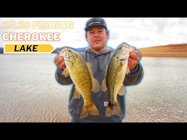 Cherokee Lake Fishing