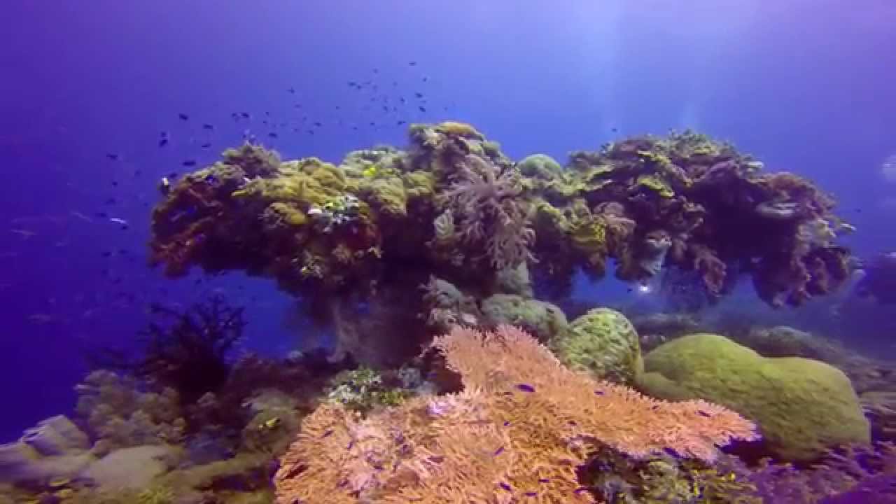 Truk Island Lagoon - WWII Wreckage - YouTube