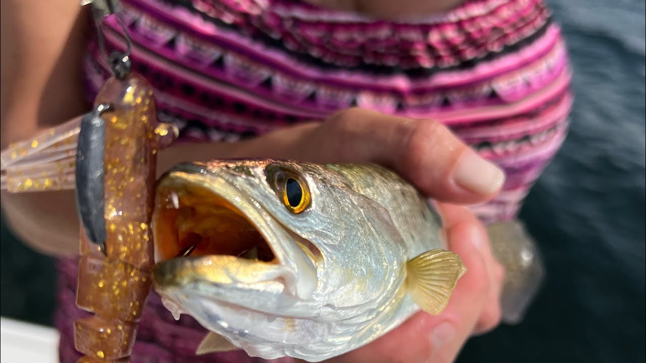 Artificial lures and live shrimp catching a ton of fish!! (Saltwater ...