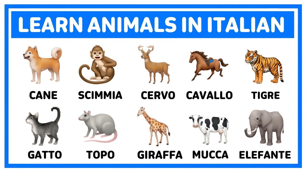 Learn animals in Italian 🐈🐕 | Learn italian #learn_italian #italian ...