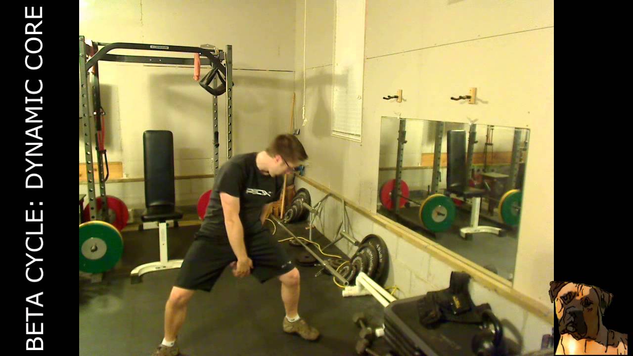 FOCUS T25 - BETA DYNAMIC CORE - DAY 67 - YouTube