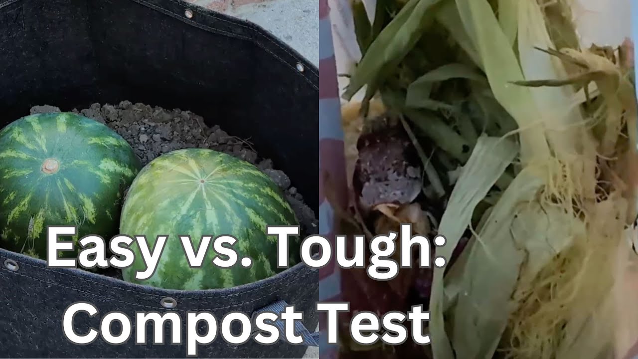 Breaking It All Down: Easy Rinds & Hard Husks - YouTube