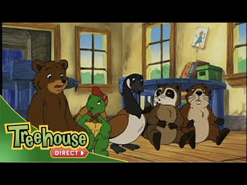 NEW COMPILATION | Franklin | Animal Special!