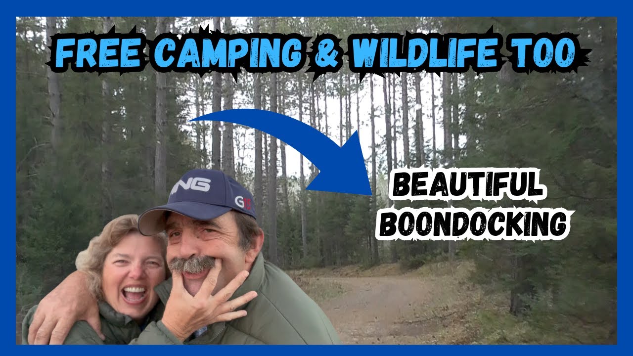 Best Boondocking Part 2: Free Dispersed Camping | Wisconsin Boondocking ...