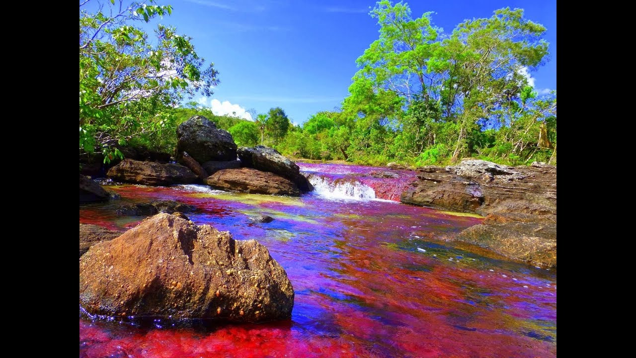 Rainbow River Colombia||The Most Beautiful River Of The World|| - YouTube