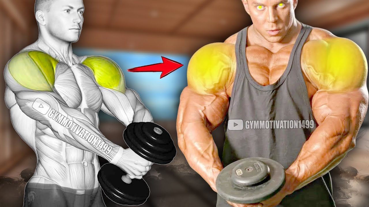 Exercises to Growth Strong Shoulder Muscles - YouTube