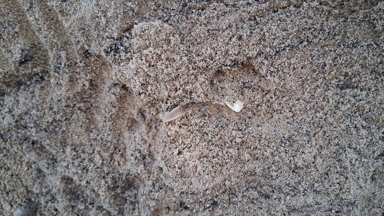 11-26-25 moving sand and gravel looking for the lost.. - YouTube