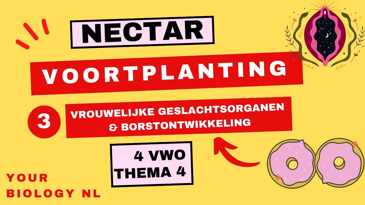 4 vwo | Voortplanting | 3 | Vrouwelijke geslachtsorganen en ...