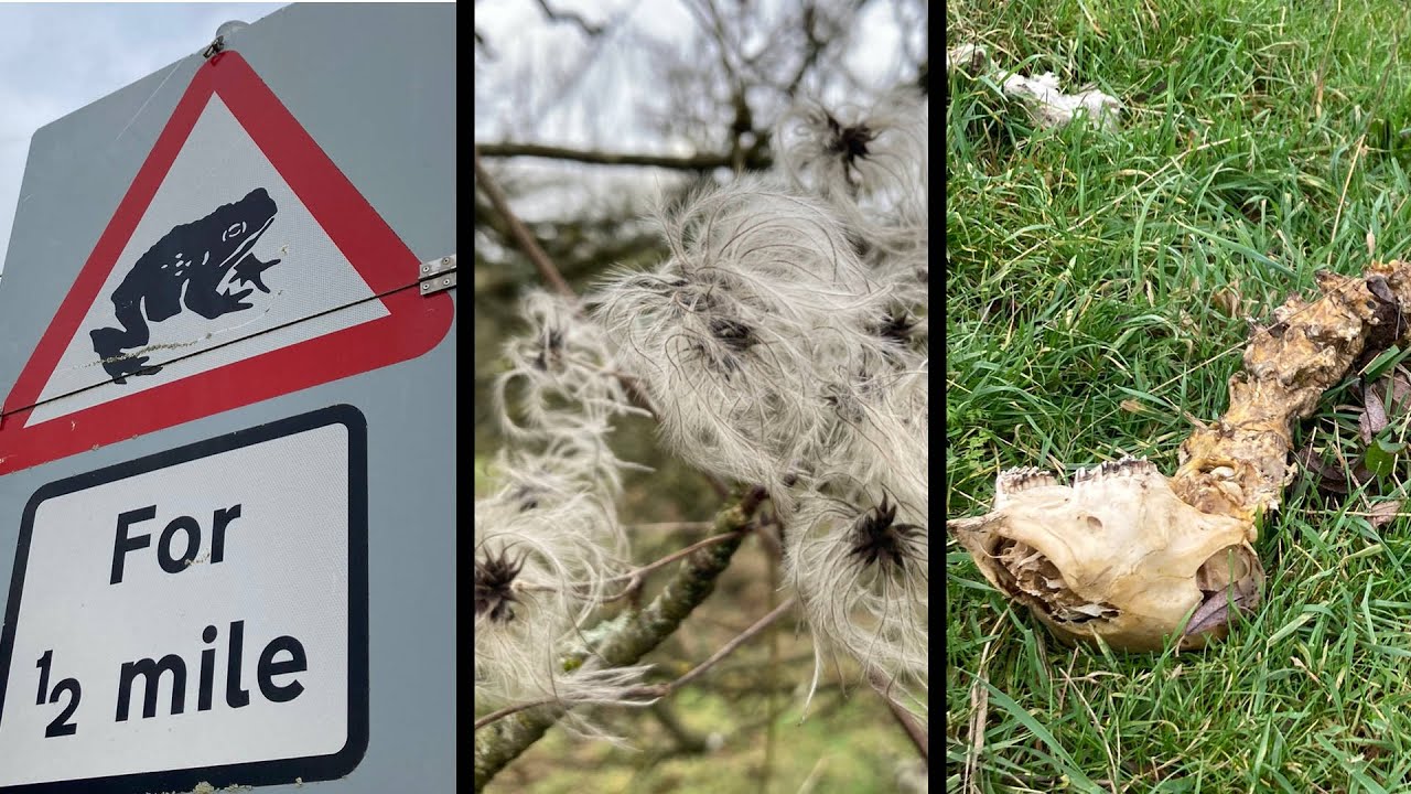 Walking a tributary of the River Avon: Bow Brook - YouTube