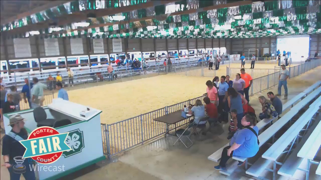2018 4-H Sheep Show & Lamb Lead - YouTube
