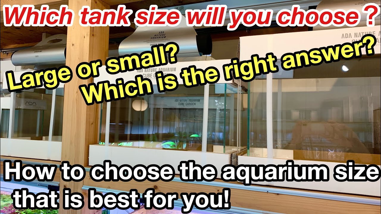How to choose the aquarium size that is best for you! Which is better ...