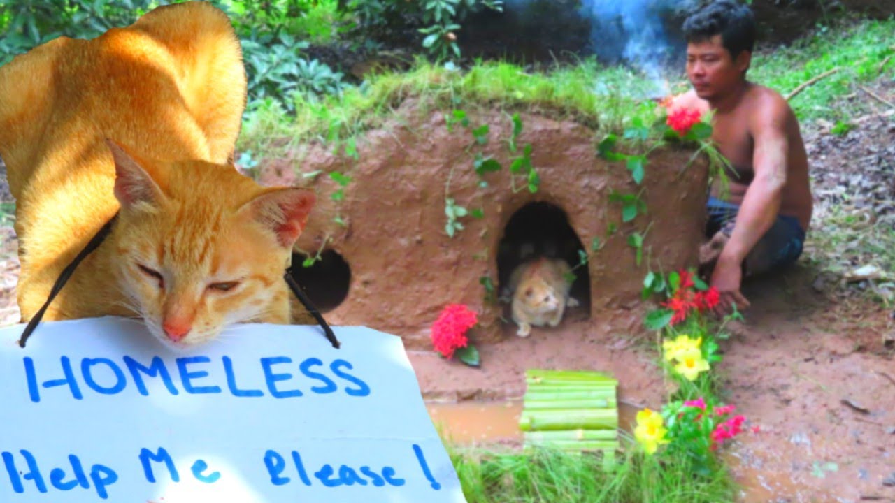 Wow! Rescue Abandoned Cat | Build Mud House Cat | She is homeless ...
