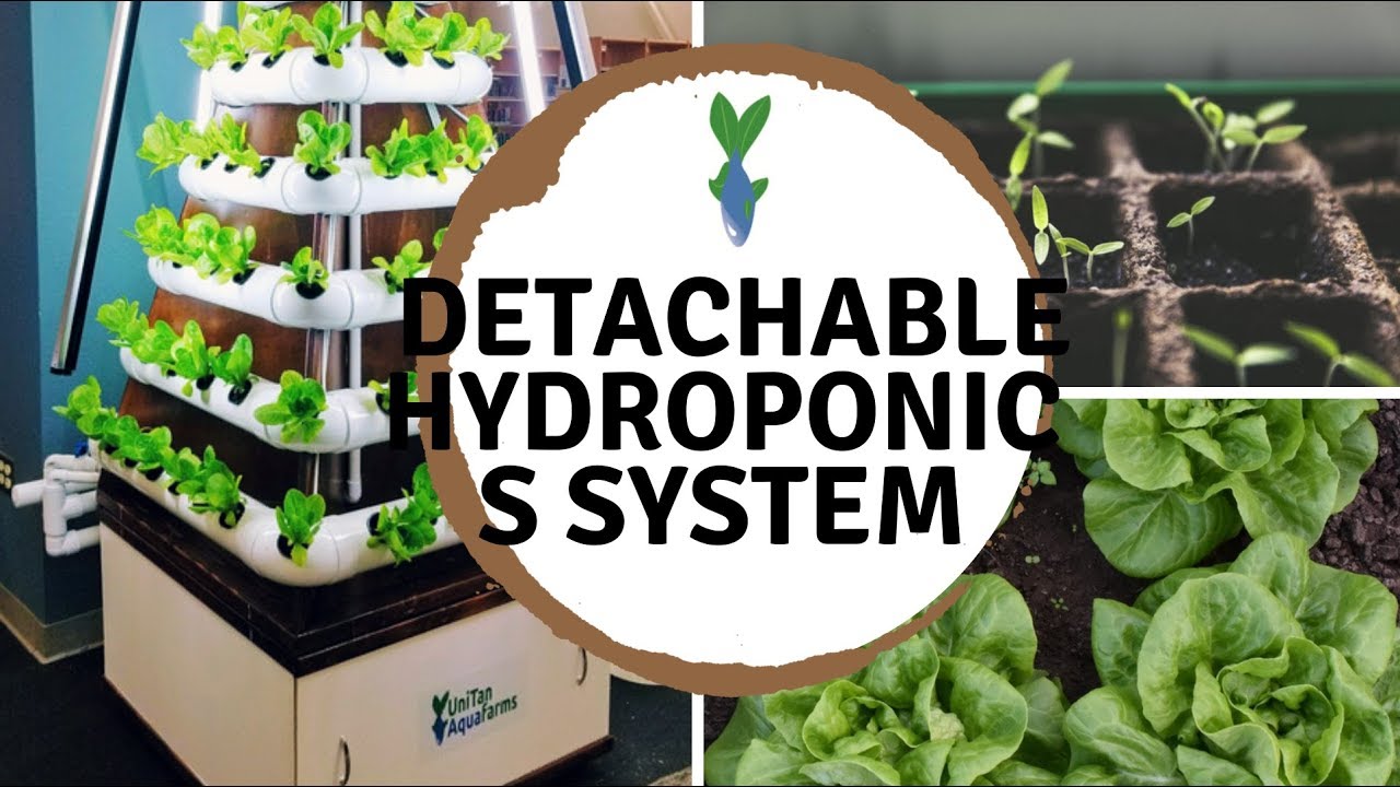 Detachable Hydroponics System - Unique Custom Pyramid Design - YouTube