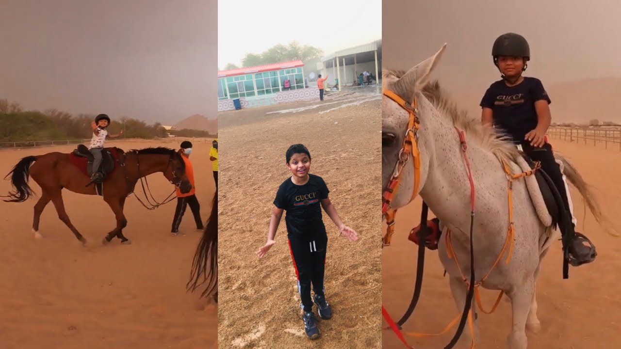 Horse riding - YouTube