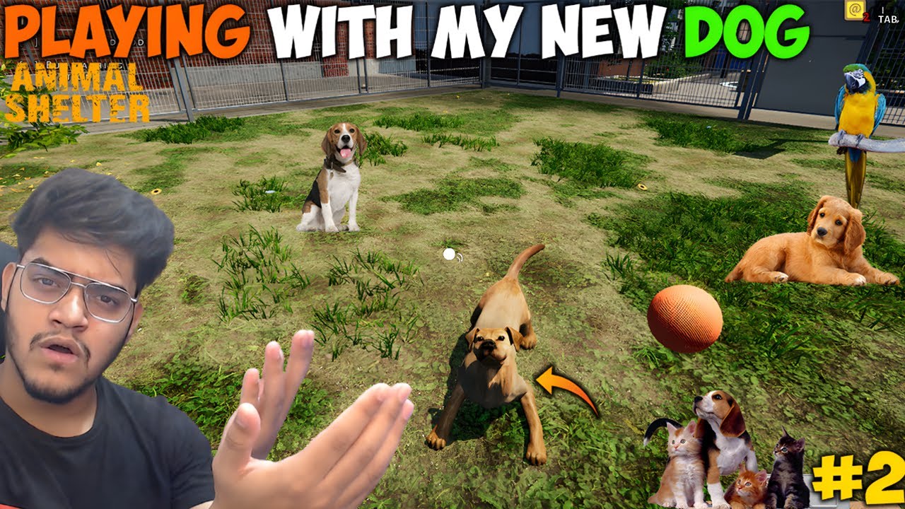 PLAYING WITH MY NEW DOG - ADOPTION CENTRE- ANIMAL SHELTER SIMULATOR ...