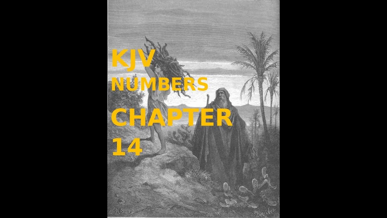 NUMBERS(KJV), CHAPTER 14 - YouTube